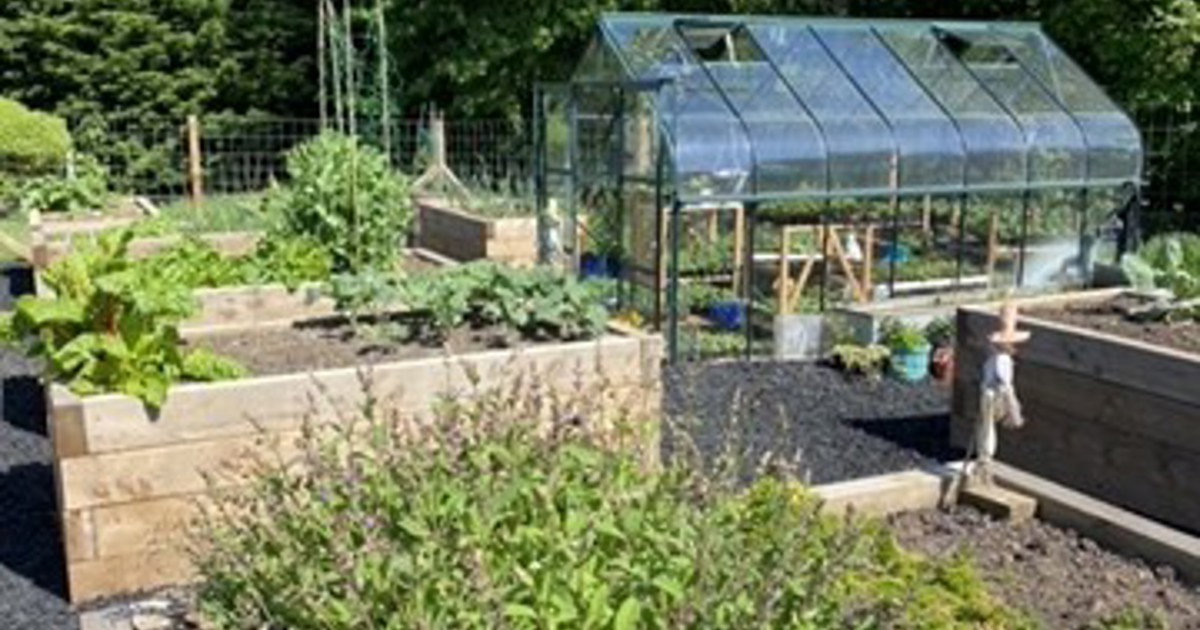 Many hands make light work in the allotments at Charters | Retirement ...