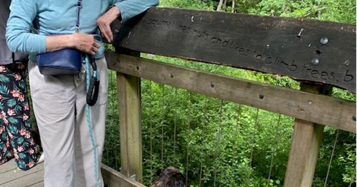 A Wellbeing Walk in Stover Park | Retirement Villages